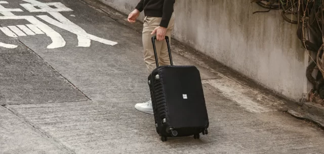 Voja Large | LOJEL Canada